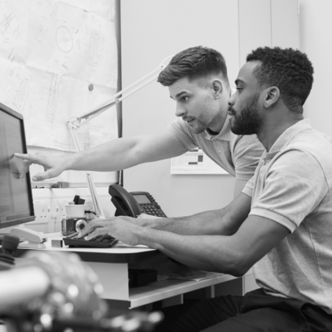 Home - Pueo Business Solutions